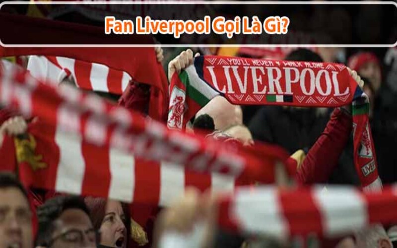 Fan Liverpool gọi là gì? Những điều thú vị về fan Liverpool